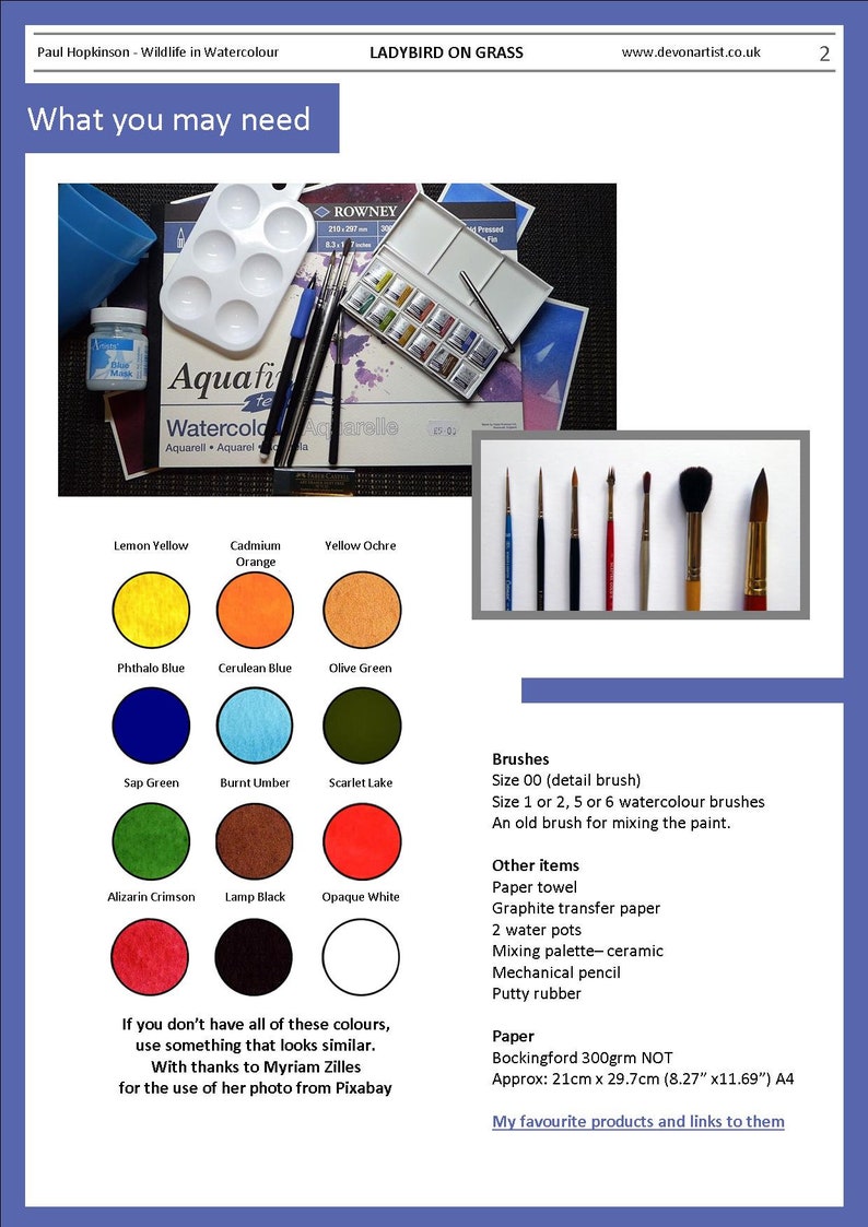 Watercolor Ladybug Painting Tutorial Ladybird Watercolour PDF | Etsy