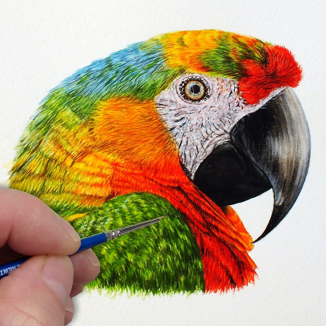 Parrot Watercolor Painting Tutorial: Detailed Step-by-step Art Lesson ...