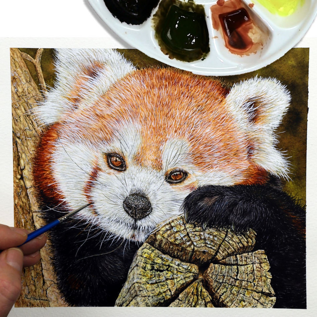 ORIGINAL Red Panda Watercolor Painting, Animal Watercolour Illustration ...