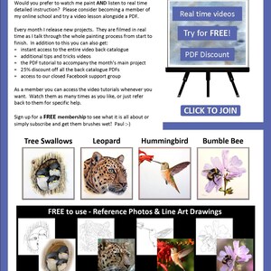 PDF Downloadable Watercolor Lesson, How to Paint Realistic Butterflies ...