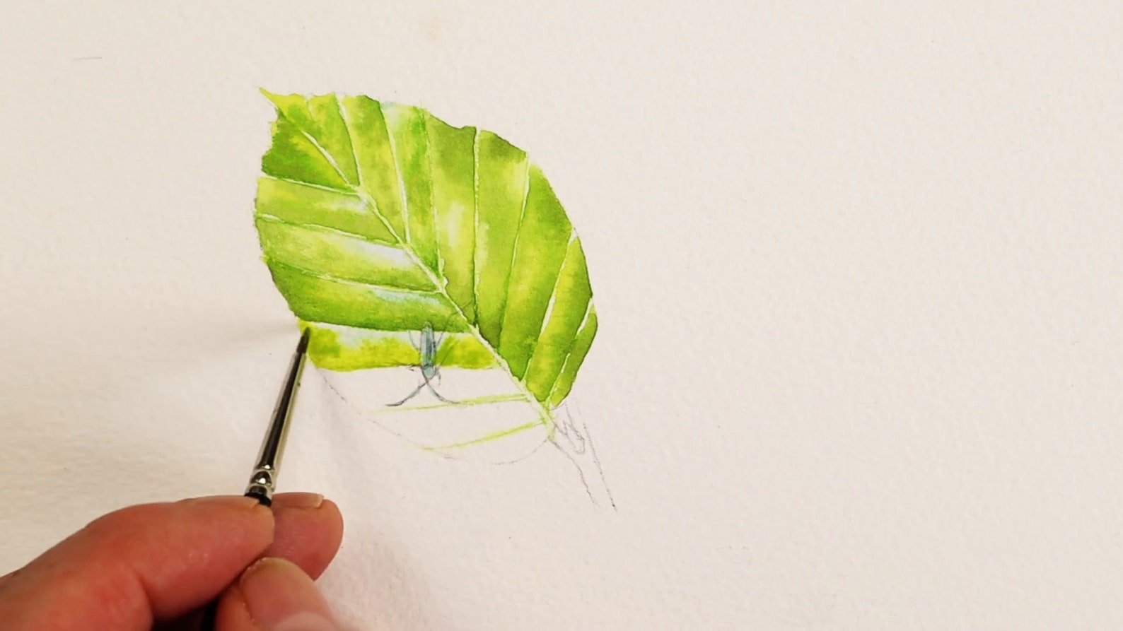 Downloadable PDF Watercolor Tutorial on Painting a Leaf Art | Etsy