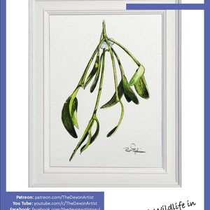 Pen and Wash Tutorial, Mistletoe Watercolour Greeting Card, Simple ...