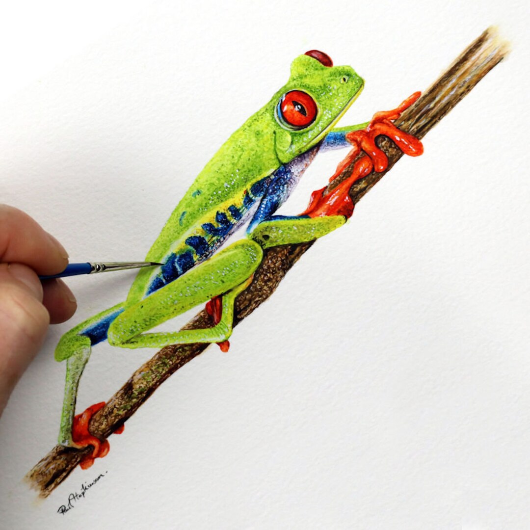 Red Eyed Tree Frog Watercolor Painting Tutorial: Realistic Illustration ...