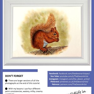 Watercolour Wildlife Painting Tutorial, Learn to Paint in Watercolor ...