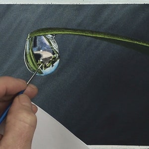 Watercolor Water Droplet Painting Lesson: Step-by-step Tutorial (PDF ...