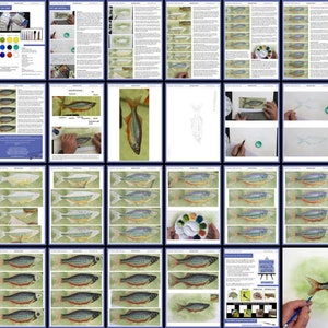 Tropical Fish Watercolor Painting Lesson, Learn to Paint Fish in ...