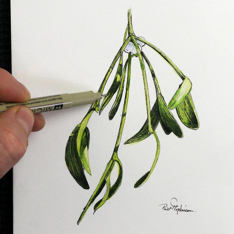 Pen and Wash Tutorial, Mistletoe Watercolour Greeting Card, Simple ...
