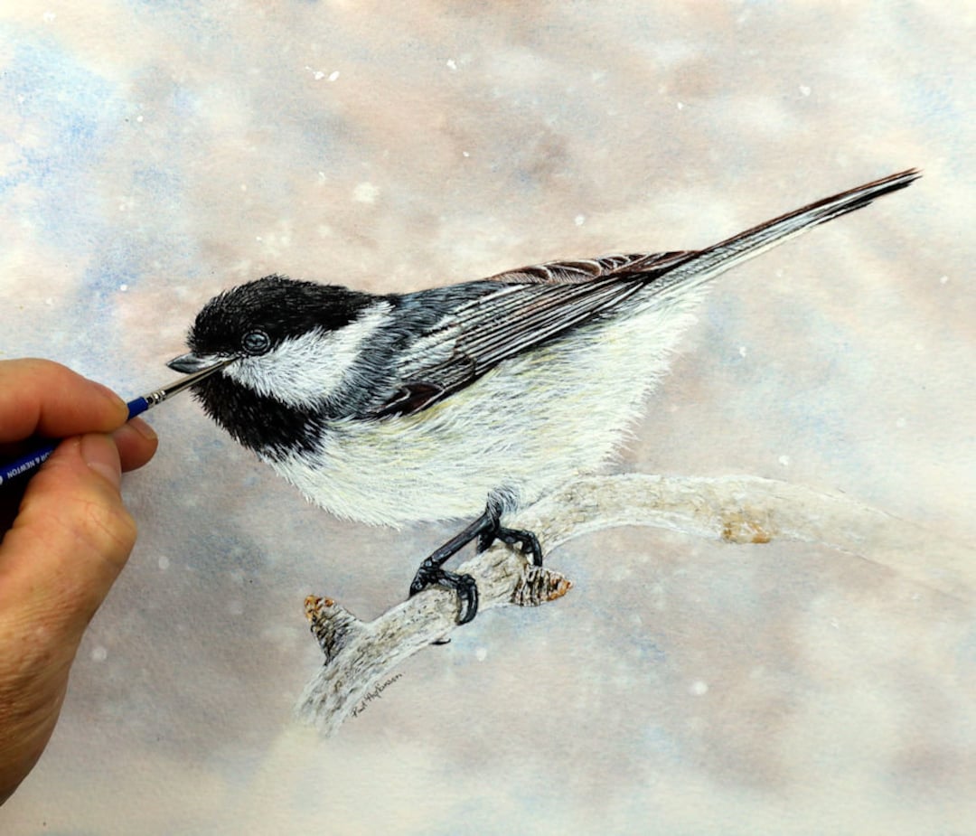 How to Paint in Watercolor, Chickadee PDF Downloadable Art Tutorial, Realistic Watercolour Bird ...