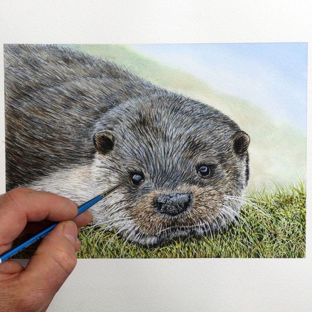 ORIGINAL Otter Painting in Watercolour, Wildlife Illustration in ...