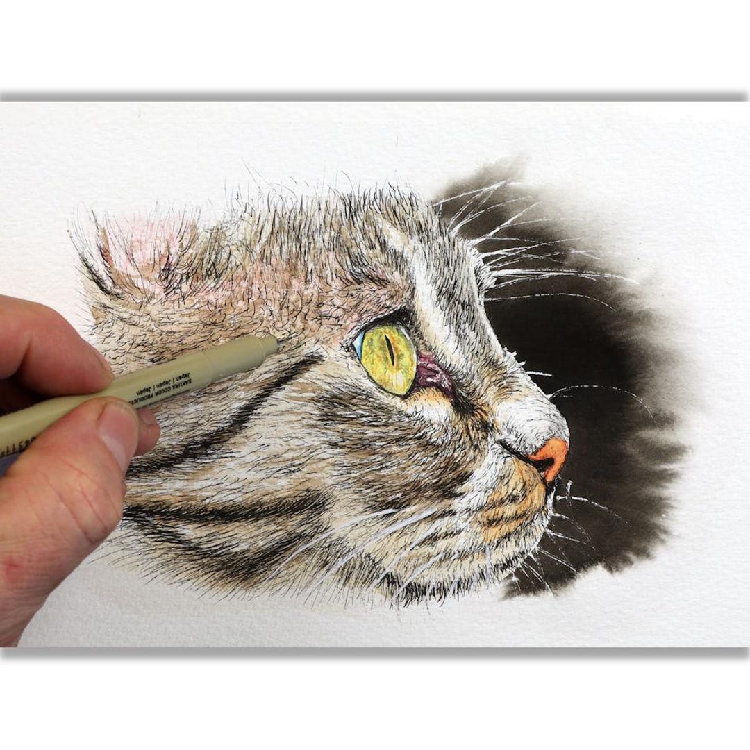 ORIGINAL Pen & Wash Cat Portrait, Illustration Style Fine Art ...
