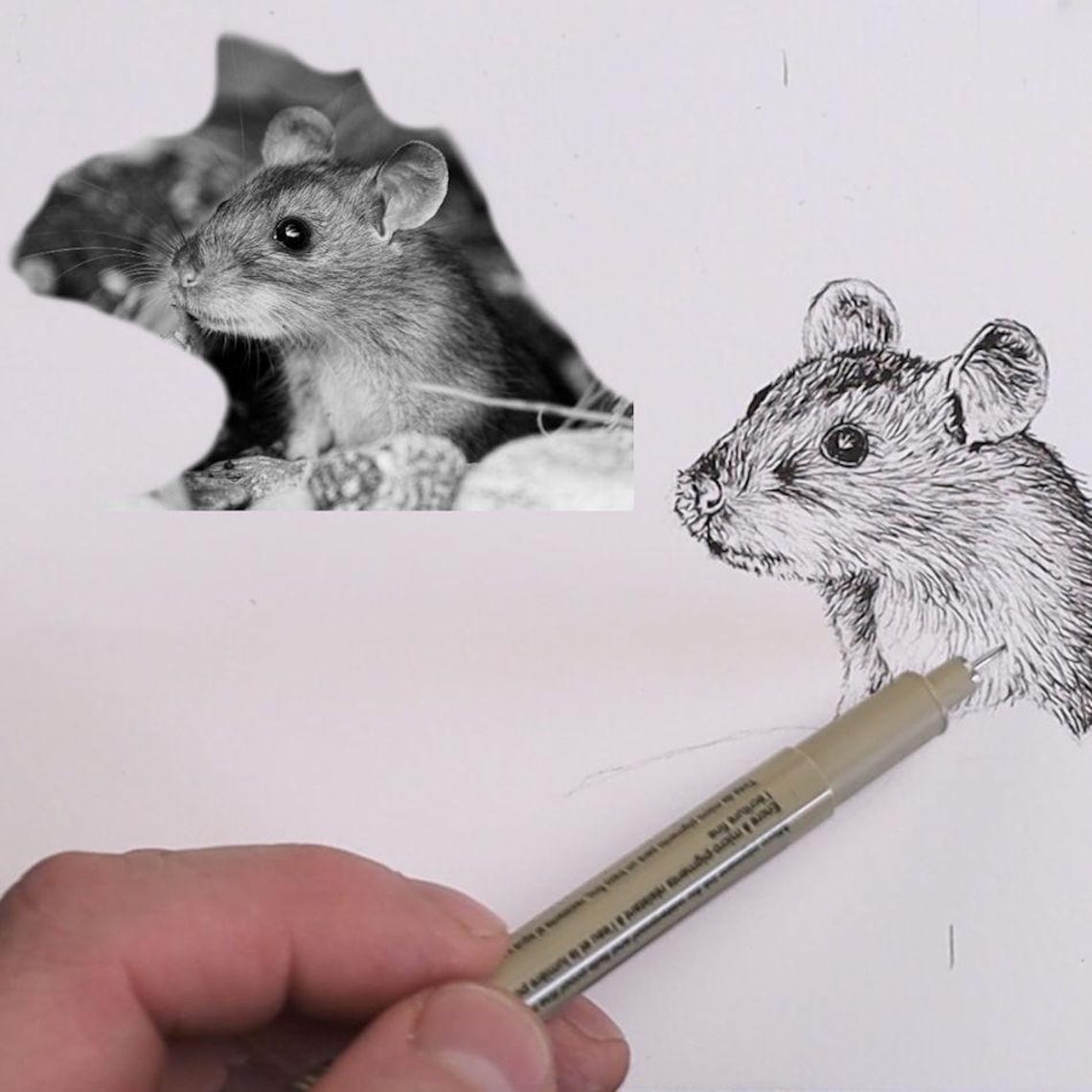 Pen and Wash Tutorial, Snowy Mouse Watercolour Greeting Card, Simple ...