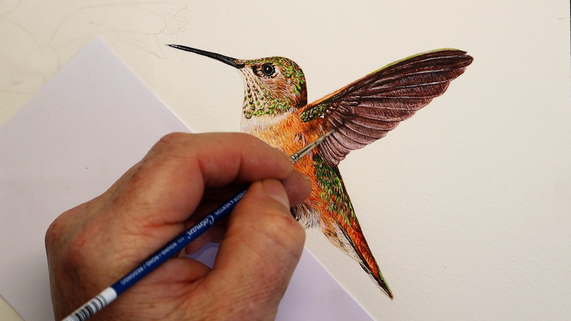 Hummingbird Watercolor Painting Lesson, Downloadable Watercolour Bird ...