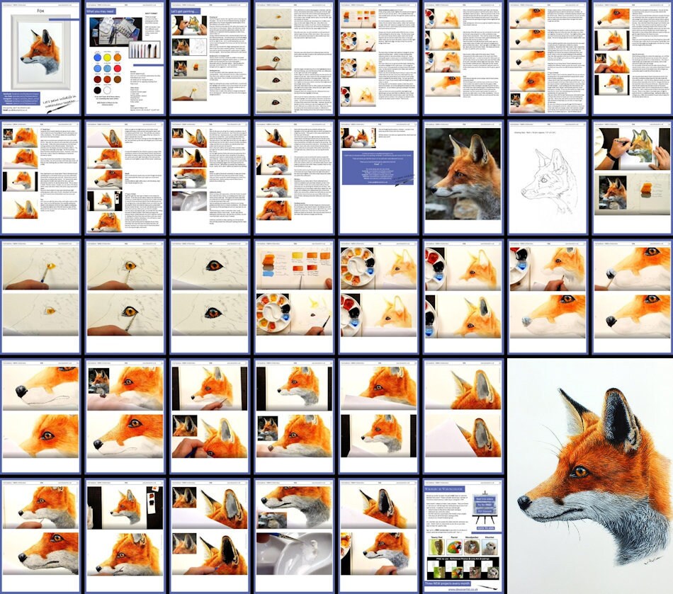 Animal & Bird Painting Lessons, Downloadable Watercolour Tutorials ...