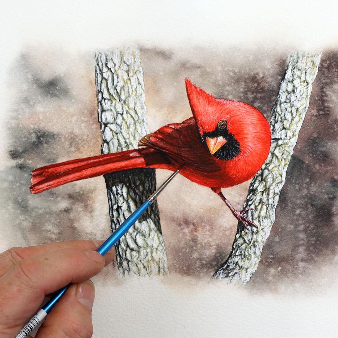 Cardinal Watercolor Painting Lesson, Online Bird Painting Tutorials ...