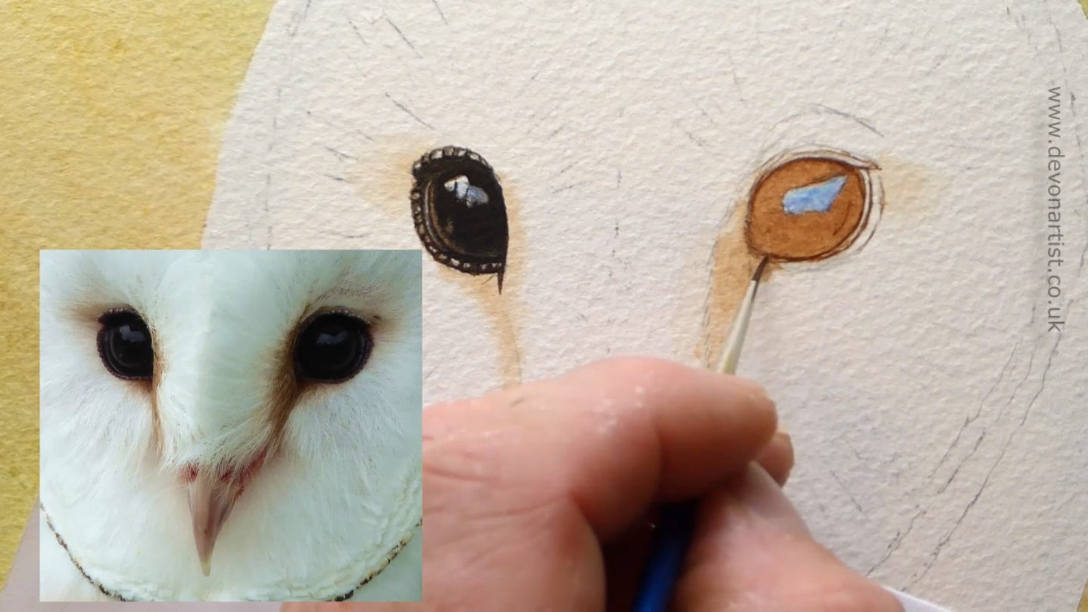 Step by Step Owl Painting Learn to Paint Watercolor Tutorial - Etsy UK