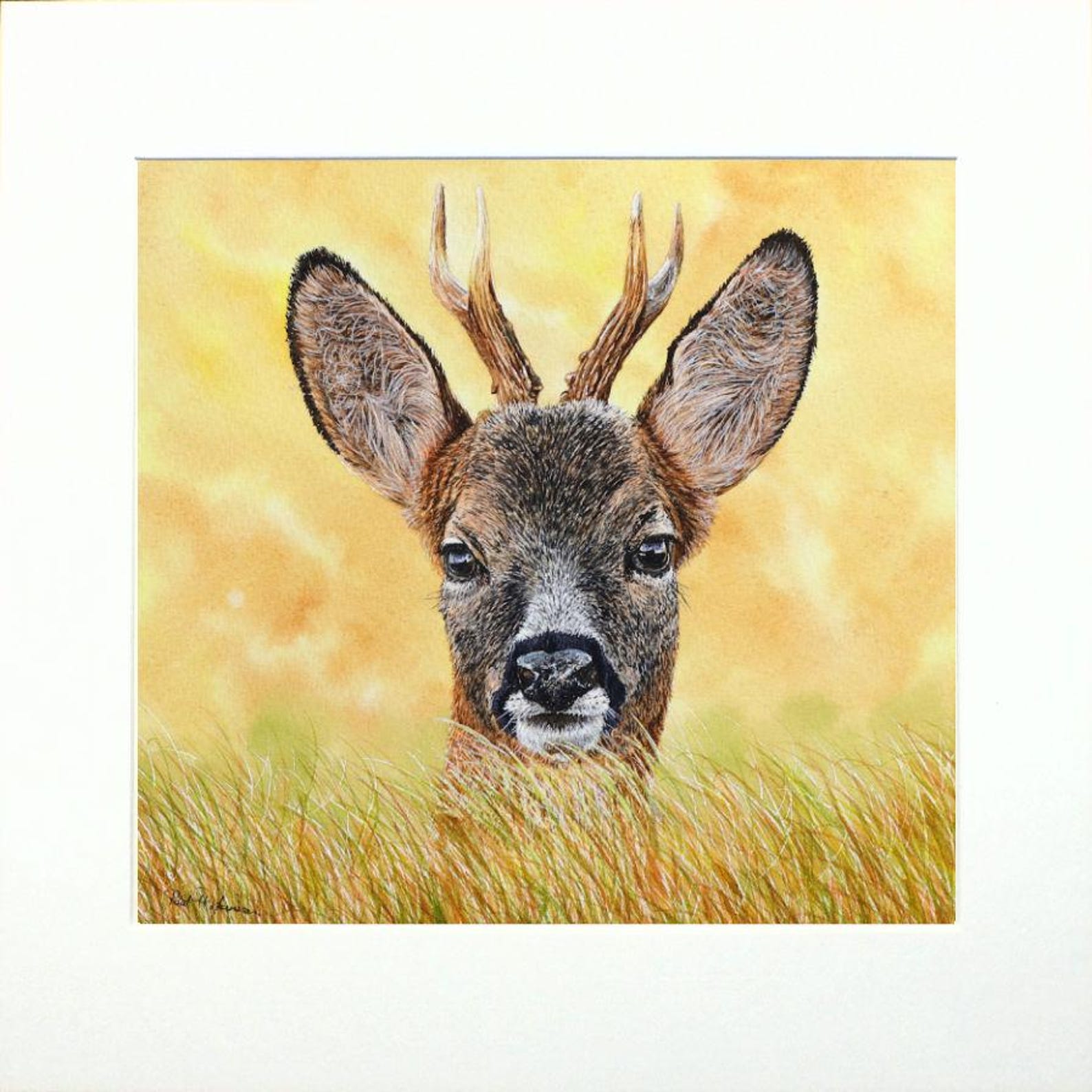 Original Deer Painting in Watercolour, Realistic Watercolor Fine Art ...