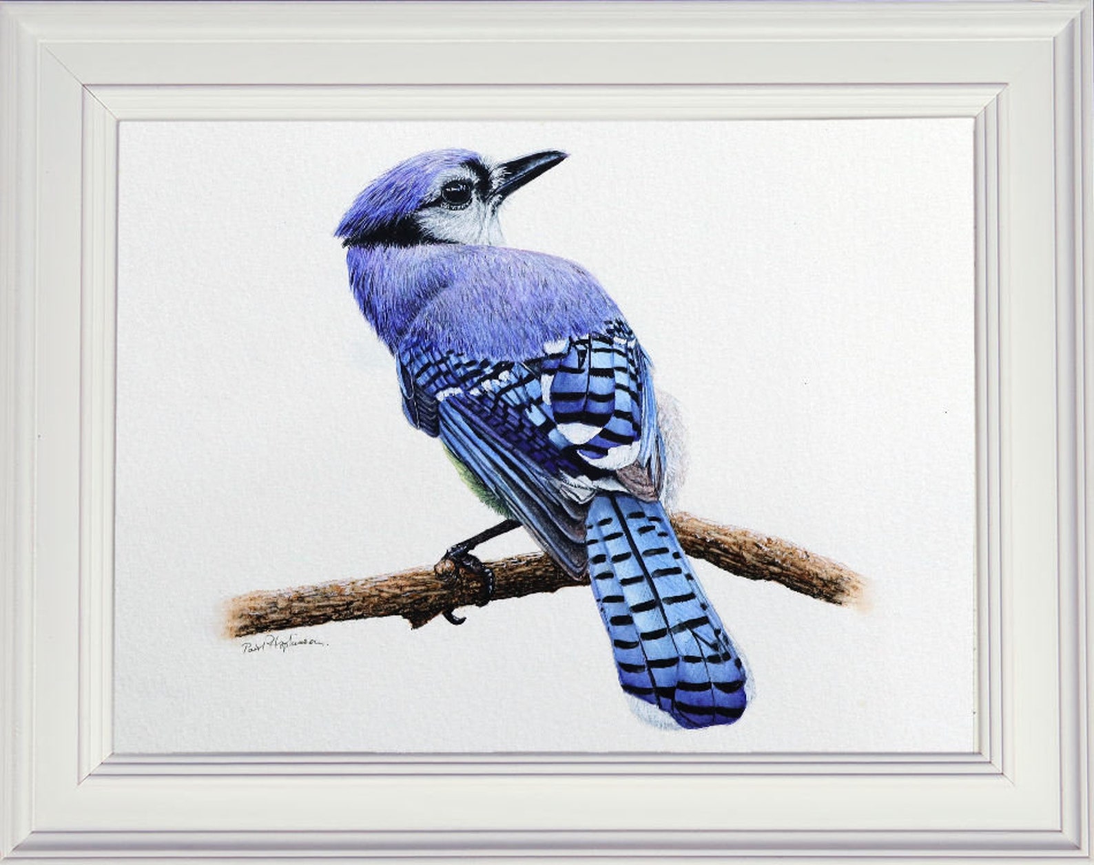 Blue Jay Watercolor Painting Lesson, Learn to Paint Realistic ...