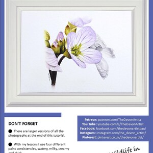 Watercolor Flower Painting Lesson: Botanical Art (PDF Download) - Etsy