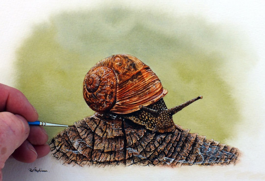 How to Paint Realistic Watercolor Animals, PDF Watercolour Snail ...