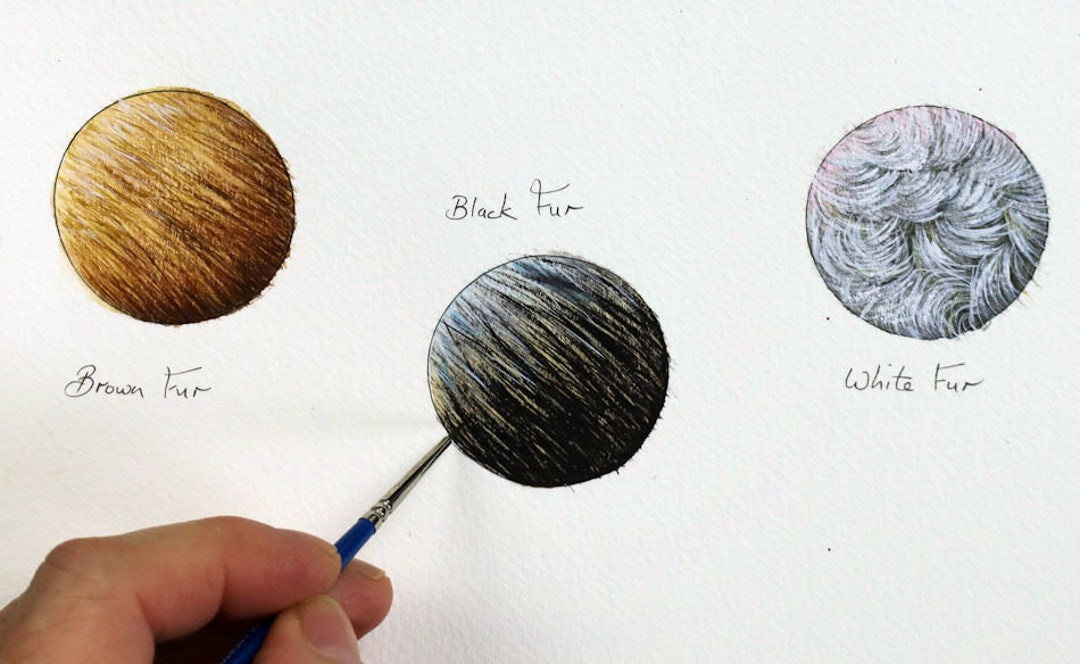Paint Realistic Fur Using Watercolor, Fine Art Watercolour Lifelike ...