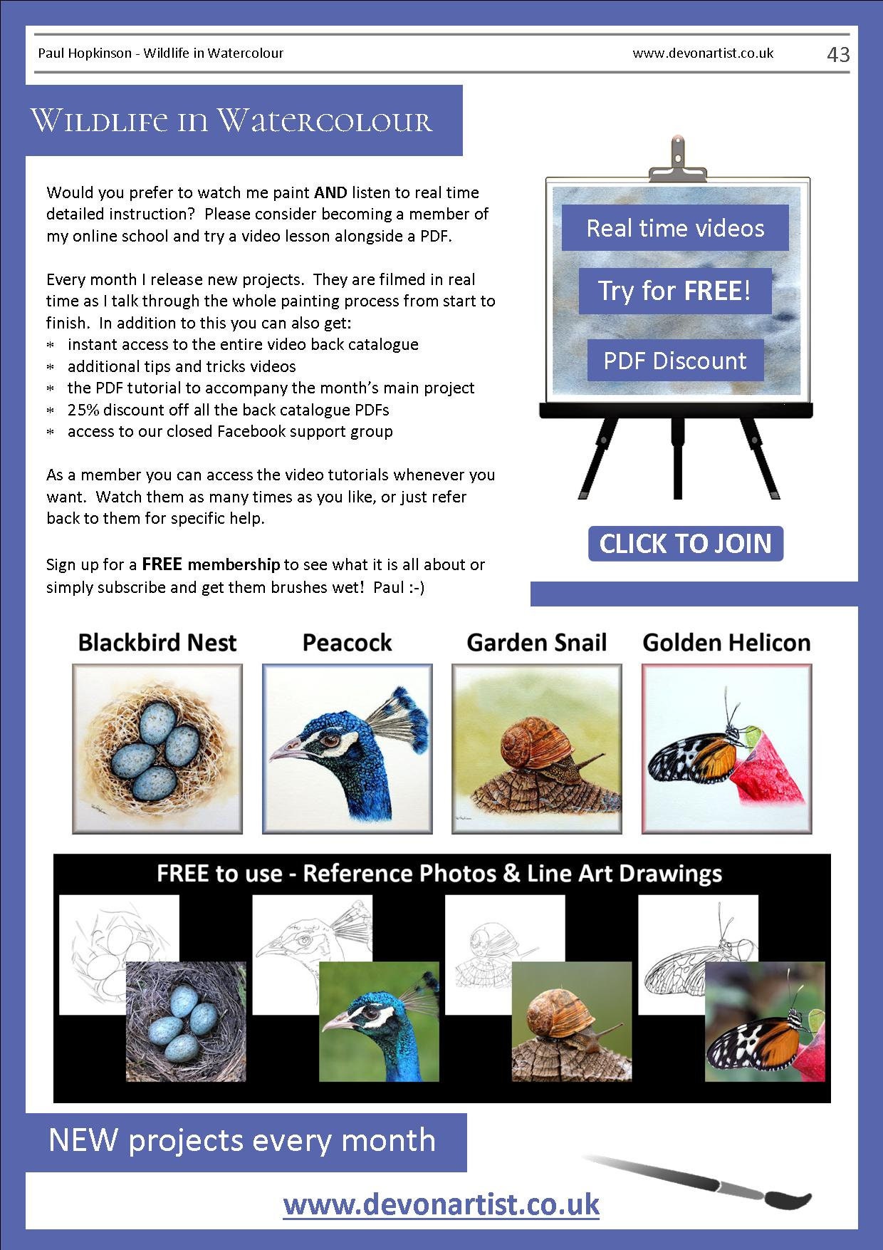 Watercolor Black Bear Cub Painting Lesson: Realistic Wildlife Art (PDF ...