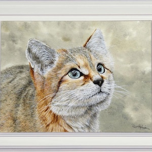 How to Paint Realistic Watercolour Cats, Sand Cat Watercolor Painting ...