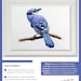 Blue Jay Watercolor Painting Lesson, Learn to Paint Realistic ...