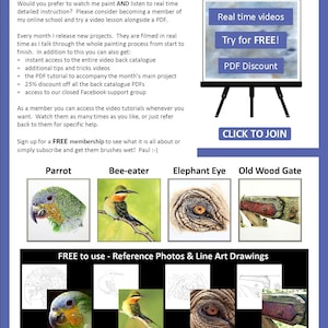 Tropical Fish Watercolor Painting Lesson, Learn to Paint Fish in ...