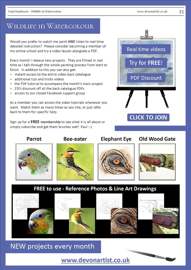 Tropical Fish Watercolor Painting Lesson Learn to Paint Fish - Etsy