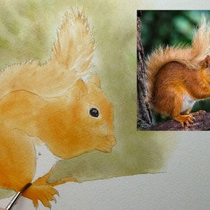 Watercolour Wildlife Painting Tutorial, Learn to Paint in Watercolor ...
