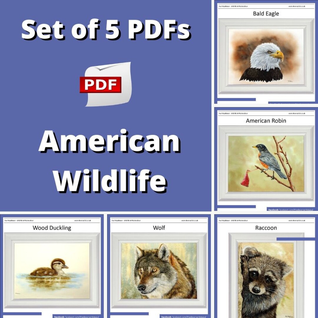 Watercolor Wildlife Painting Tutorials: Eagle, Robin, Wolf + More (5 ...