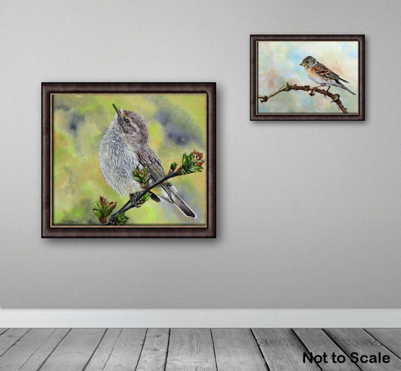 ORIGINAL Bird Watercolour Painting, Chiffchaff Watercolor Illustration ...