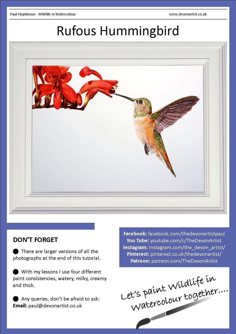 Hummingbird Watercolor Painting Lesson, Downloadable Watercolour Bird ...