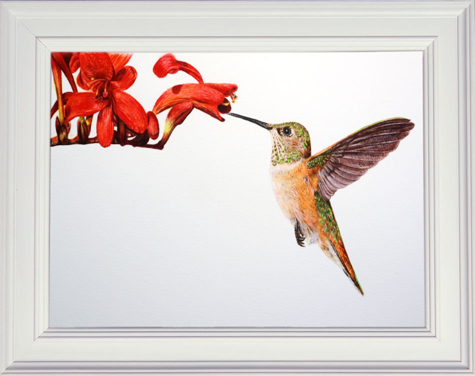 Hummingbird Watercolor Painting Lesson, Downloadable Watercolour Bird ...