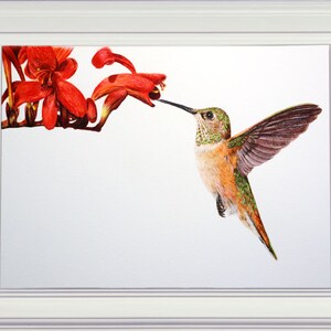 Hummingbird Watercolor Painting Lesson, Downloadable Watercolour Bird ...