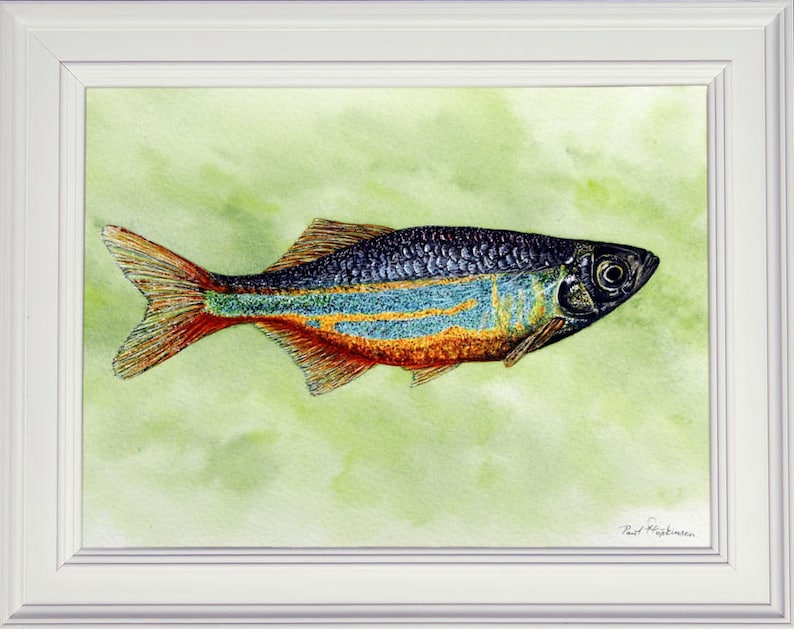 Tropical Fish Watercolor Painting Lesson Learn to Paint Fish - Etsy