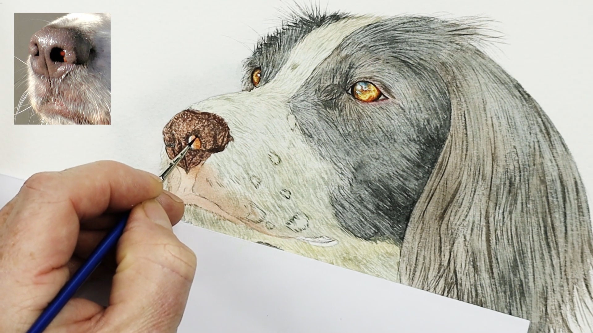 How to Paint Dogs in Watercolor Realistic Watercolour Dog | Etsy UK