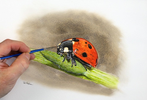 ORIGINAL Ladybird Watercolour Painting Watercolor Ladybug | Etsy