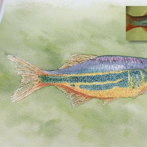 Tropical Fish Watercolor Painting Lesson, Learn to Paint Fish in ...