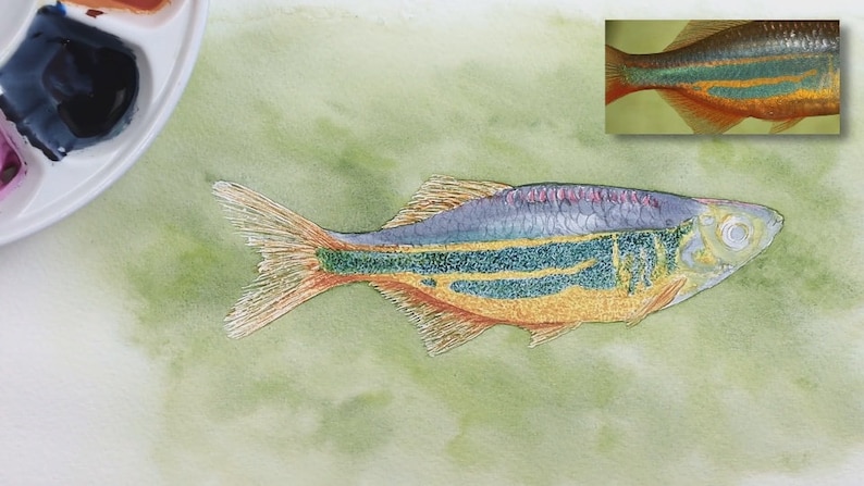 Tropical Fish Watercolor Painting Lesson Learn to Paint Fish - Etsy