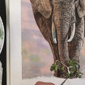 Realistic Elephant Watercolor Painting Tutorial: Step-by-step Art ...