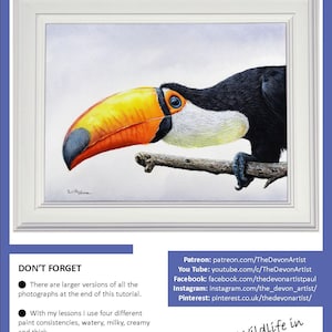 Toucan Watercolour Painting Course, Learn to Paint Realistic Birds in ...