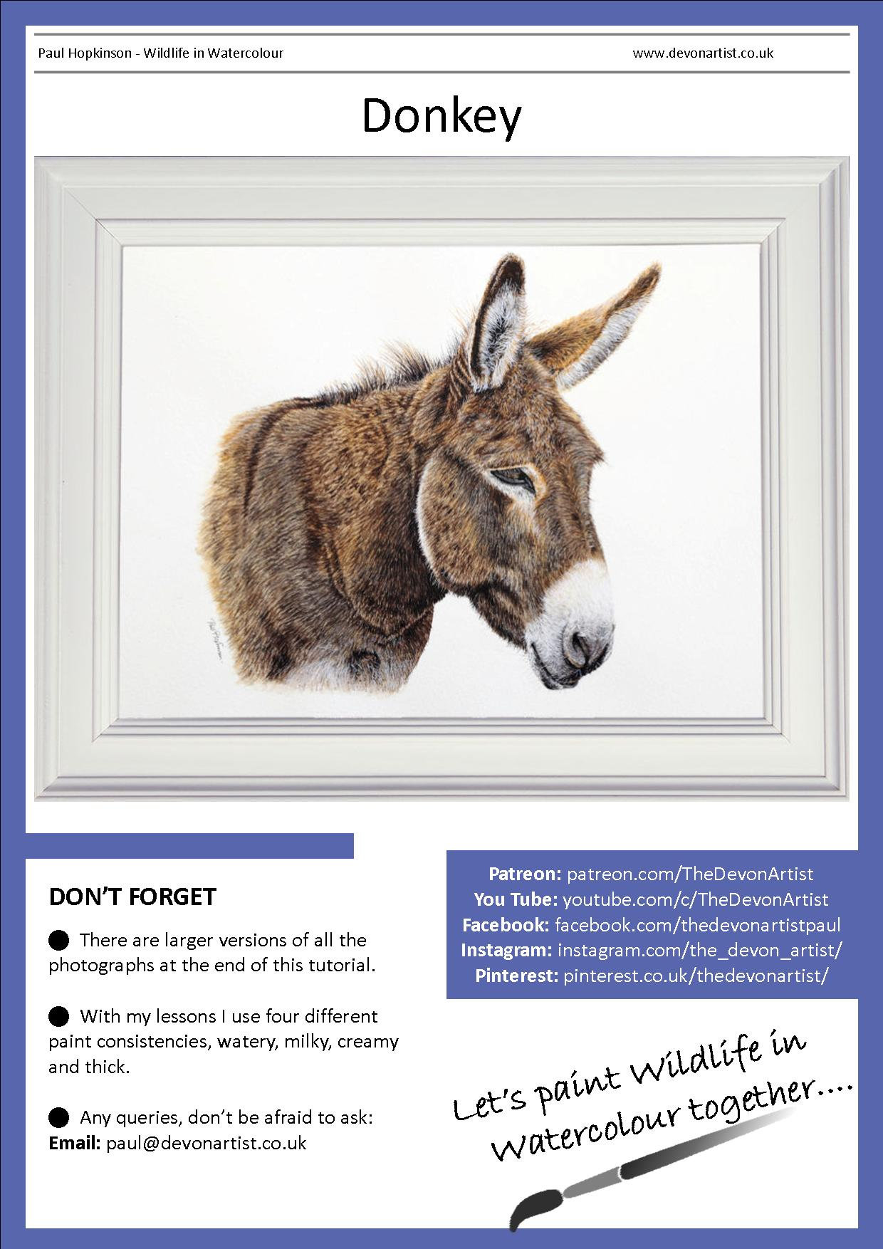 Watercolor Donkey Painting Tutorial: Realistic Illustration (PDF ...
