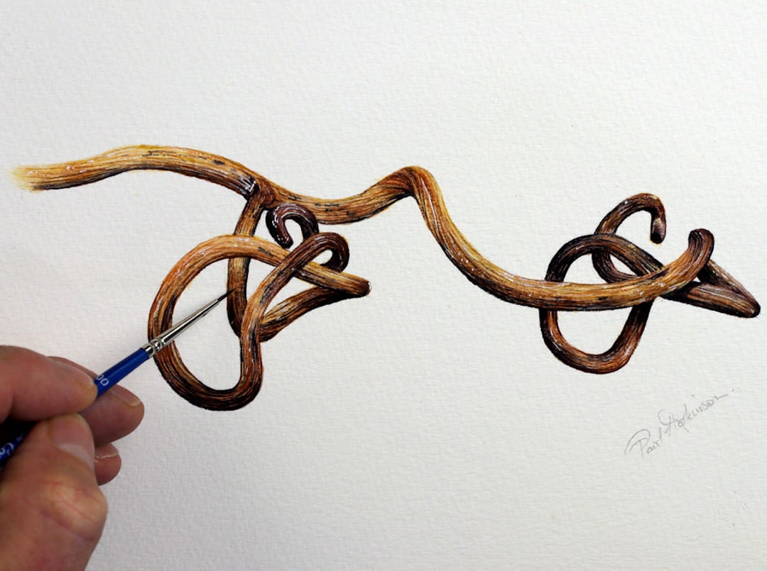 Watercolor Grapevine Twig Painting Lesson: Beginner's Guide (PDF ...