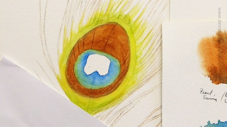 Learn to Paint a Feather in Watercolour, Peacock Feather Watercolor ...