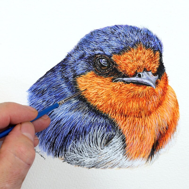 Hand Painted Bird Art - Etsy