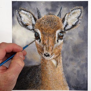 Dik Kit - Etsy