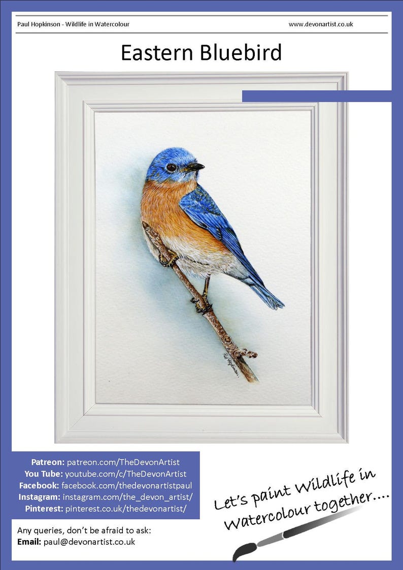 Eastern Bluebird Watercolor Painting Tutorial, Learn to Paint Realistic ...
