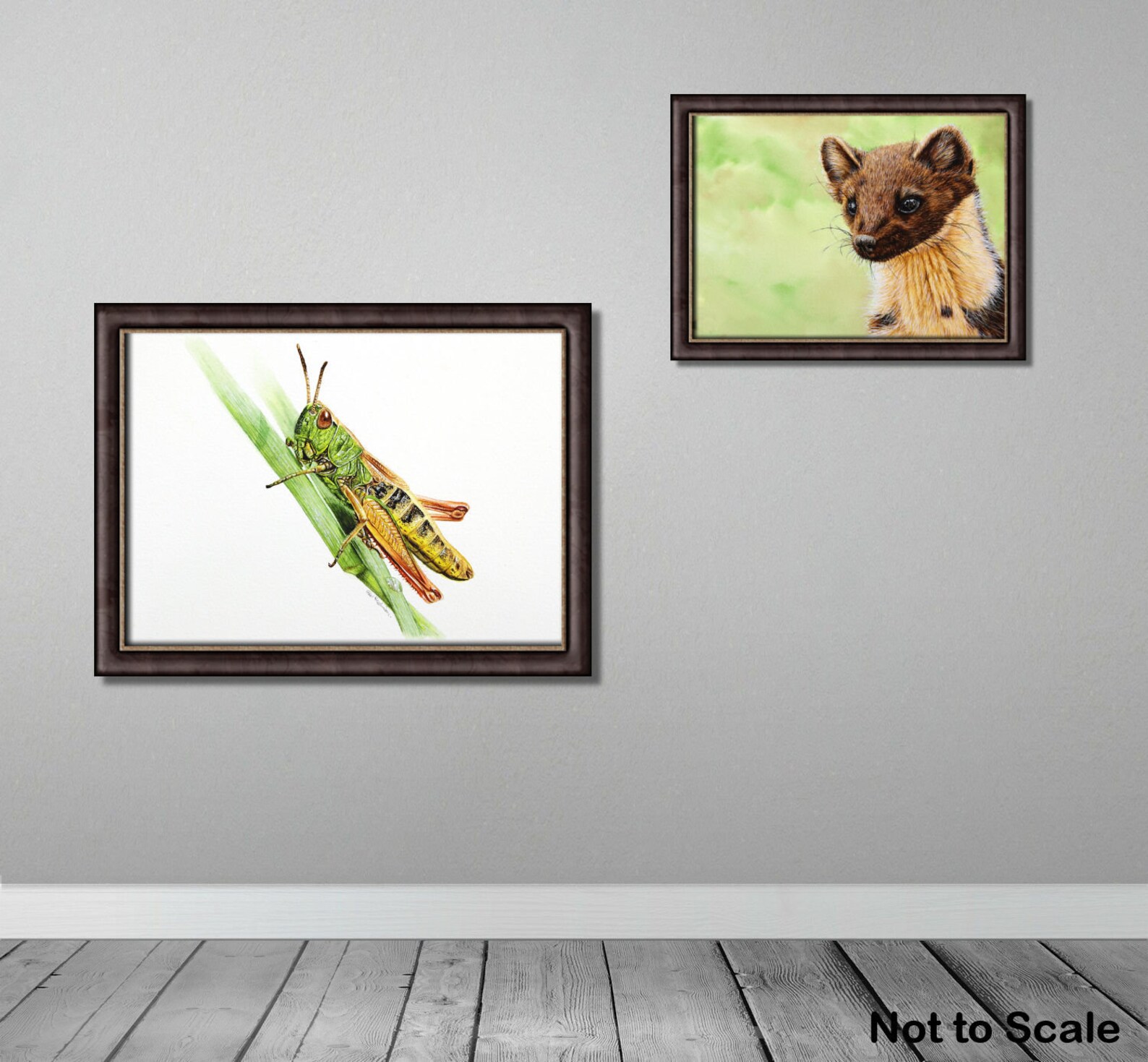 ORIGINAL Watercolour Grasshopper Painting Watercolor Insect | Etsy