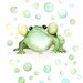 Bubbles Toad Original Watercolor of Size 9.40x12.60 Inches (24x32cm) - Etsy